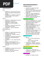Human Skeleton All Bones Chart | PDF | Anatomy | Musculoskeletal System