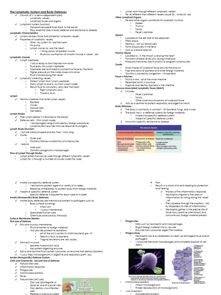 Chapter 12_ Lymphatic System and Body Defenses Reviewer | PDF ...