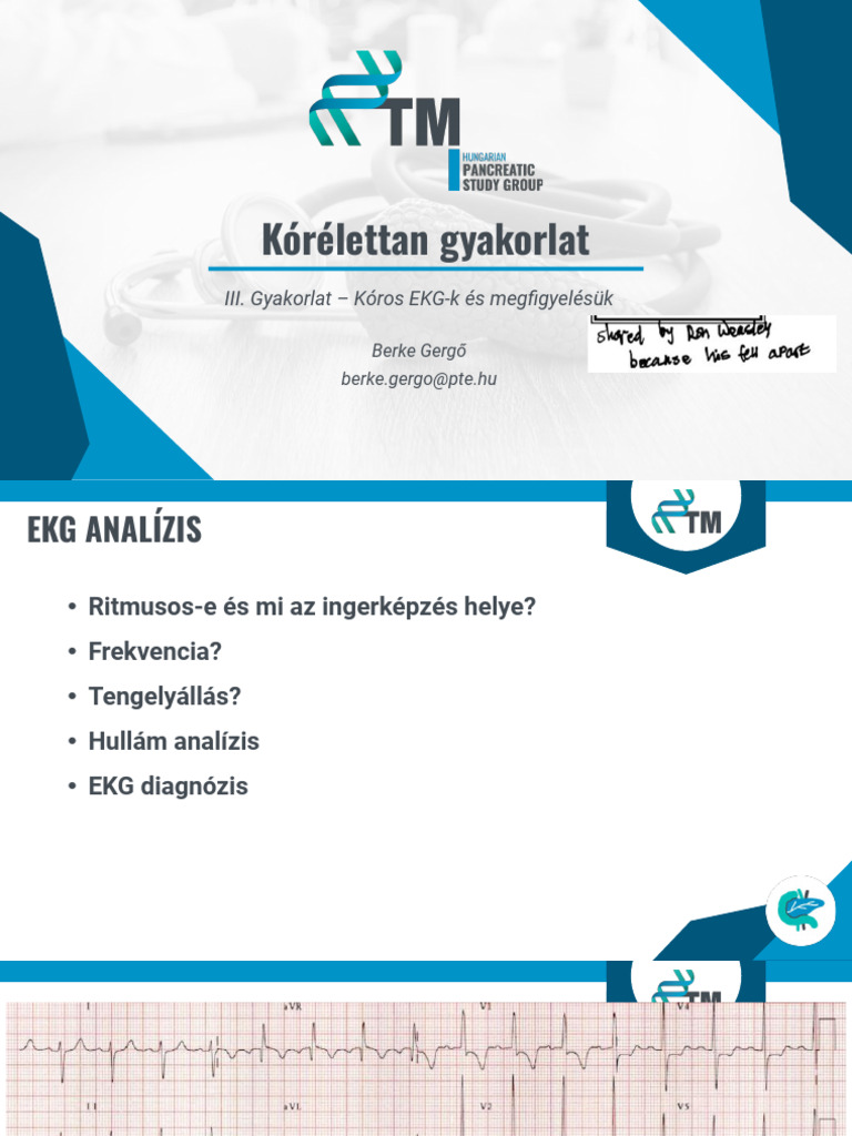EKG 2022 Berke III - Gyak | PDF