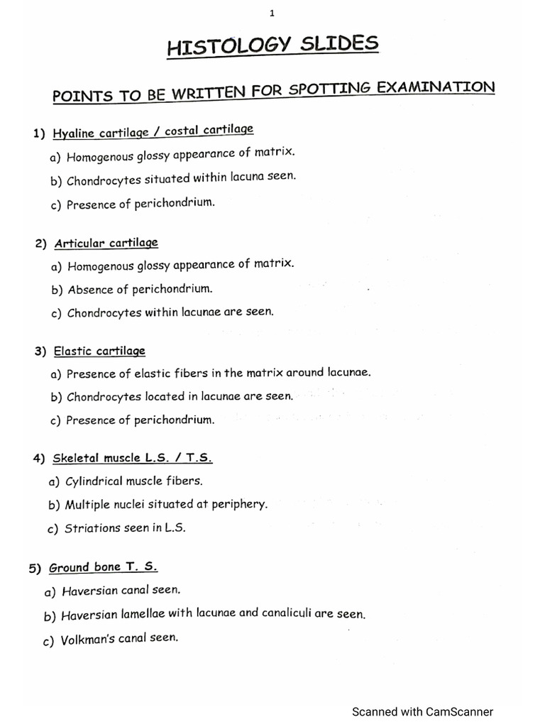 Histology Slide Identification Points Yes | PDF