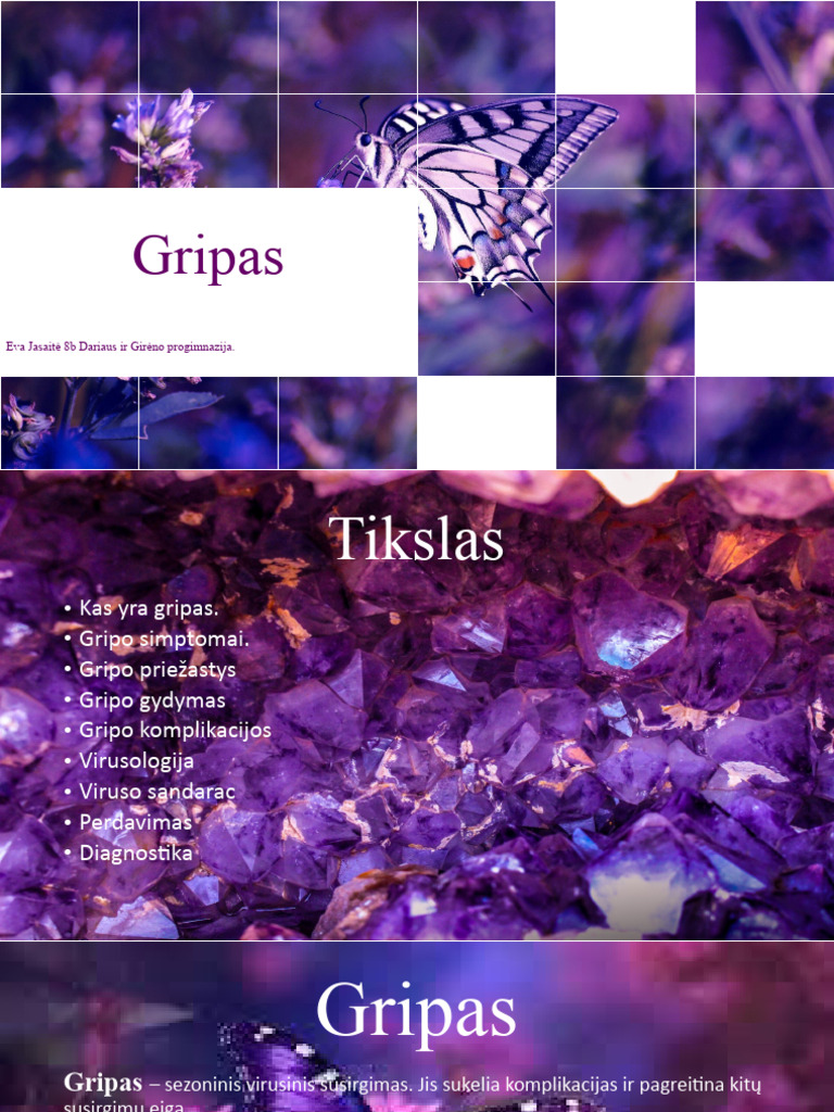 Gripas, 8b | PDF
