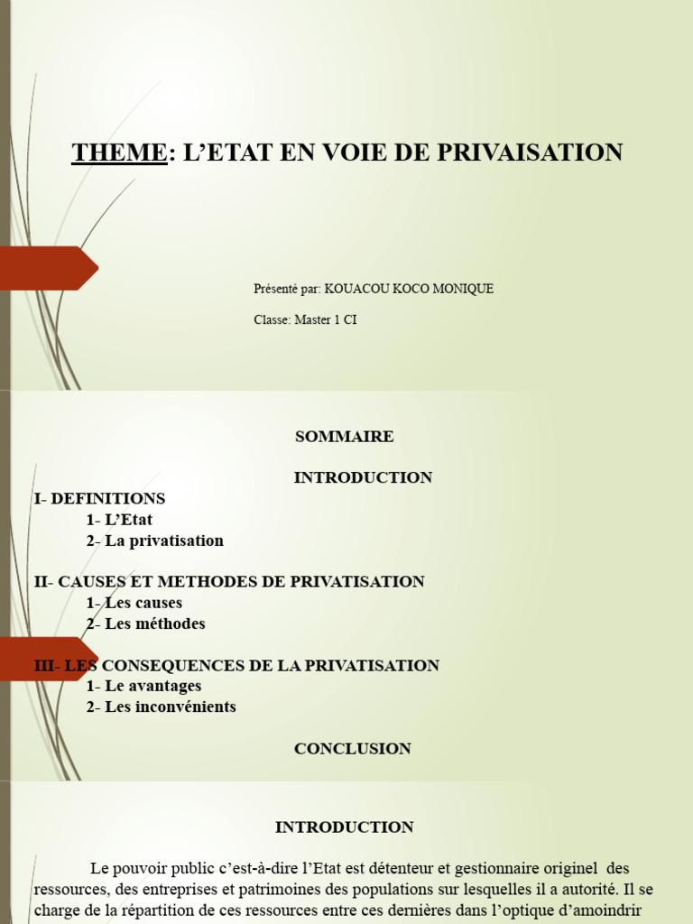 Privatisation | PDF