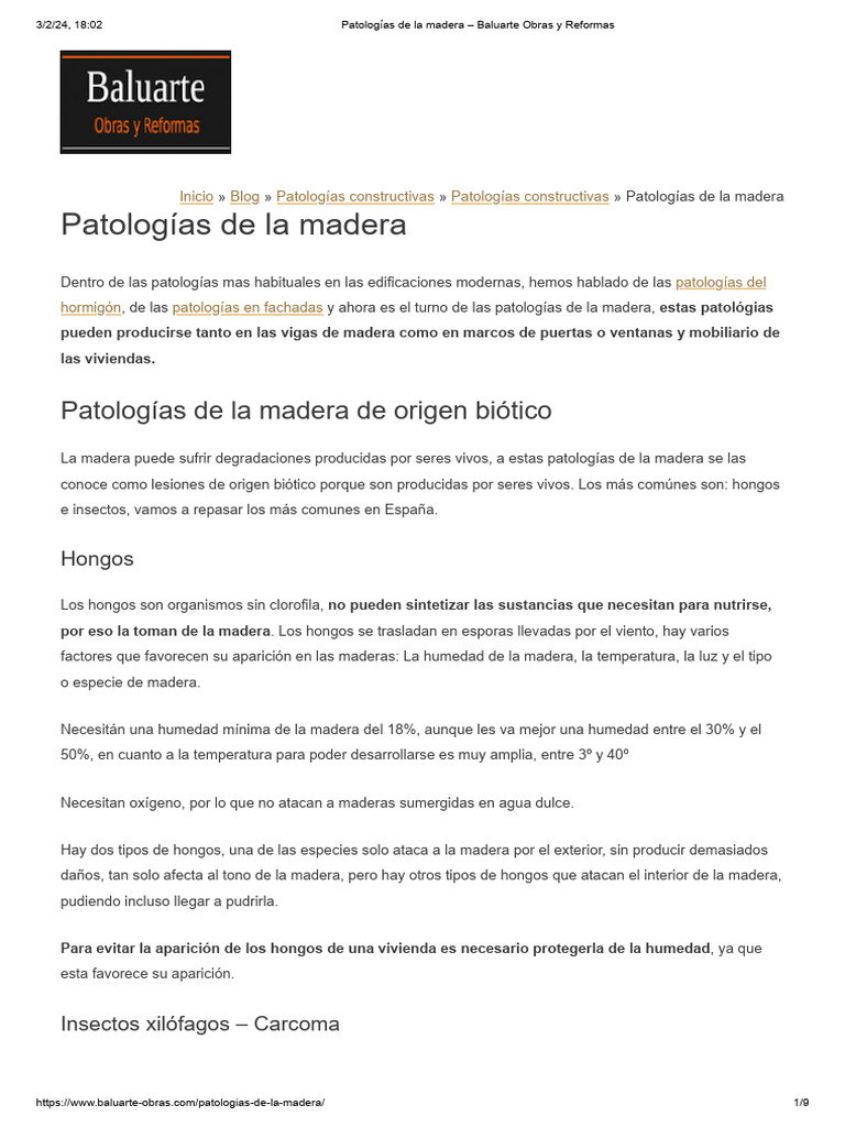 Patologias Carpint Madera | PDF | Madera | Insectos