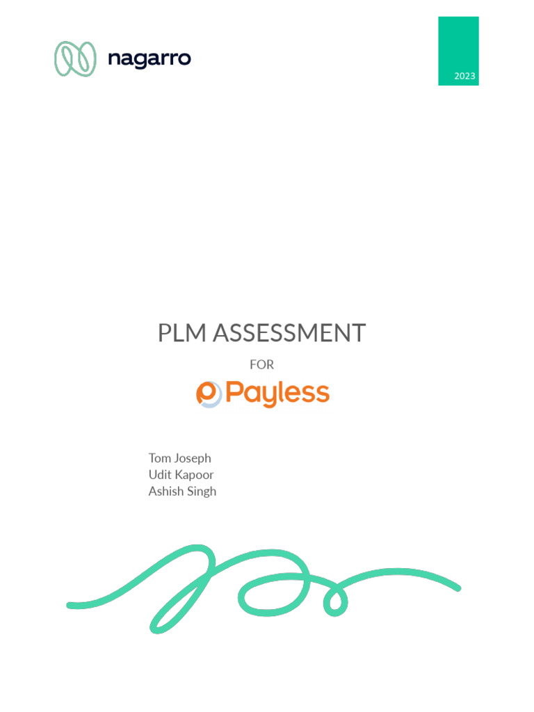PLM Assessment Report Overview | PDF