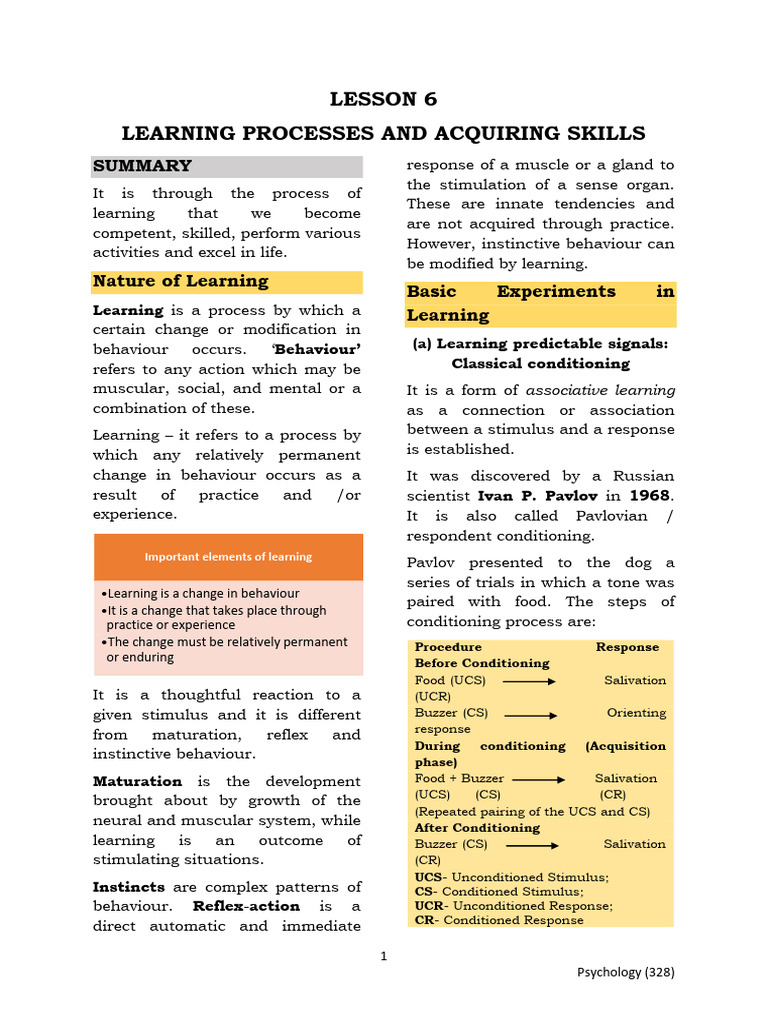 Lesson 6 Learning Processes and Acquiring Skills | PDF