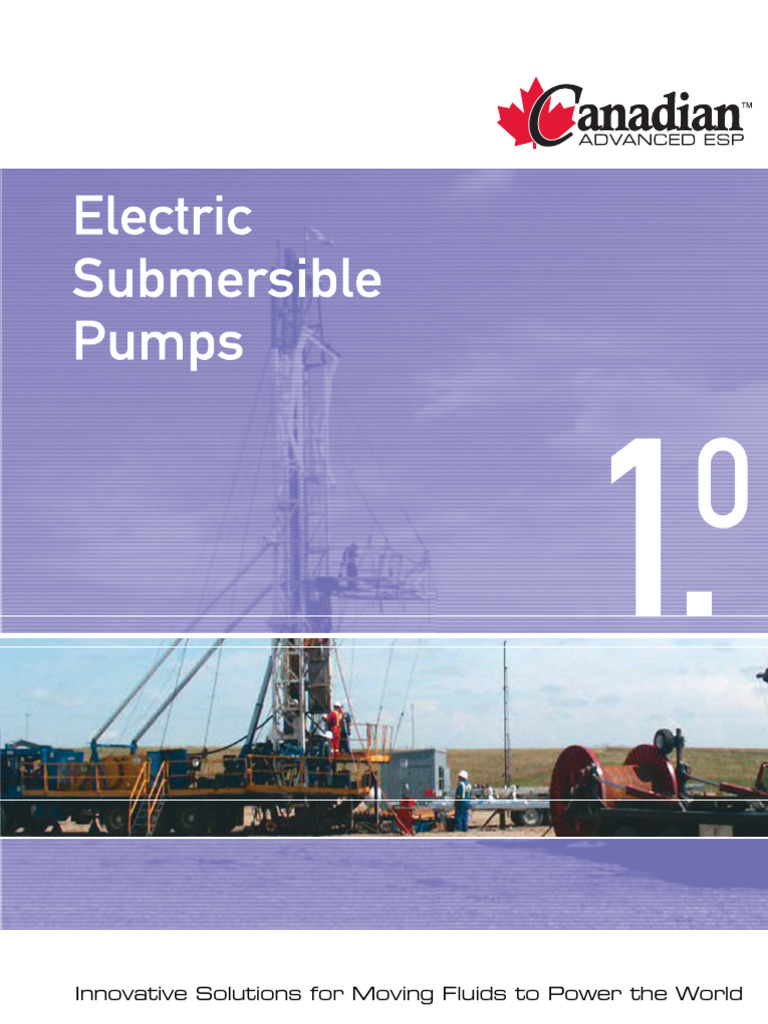 Canadian ESP Brochure-1.0-ESP | PDF