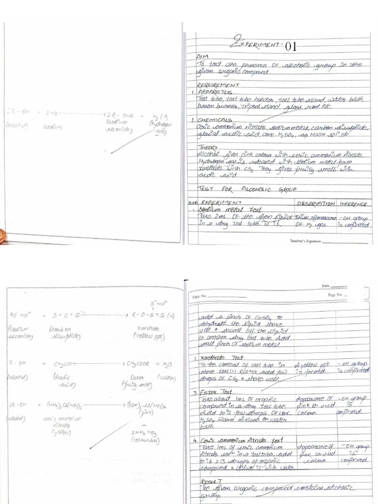 Functional Group Practicals | PDF