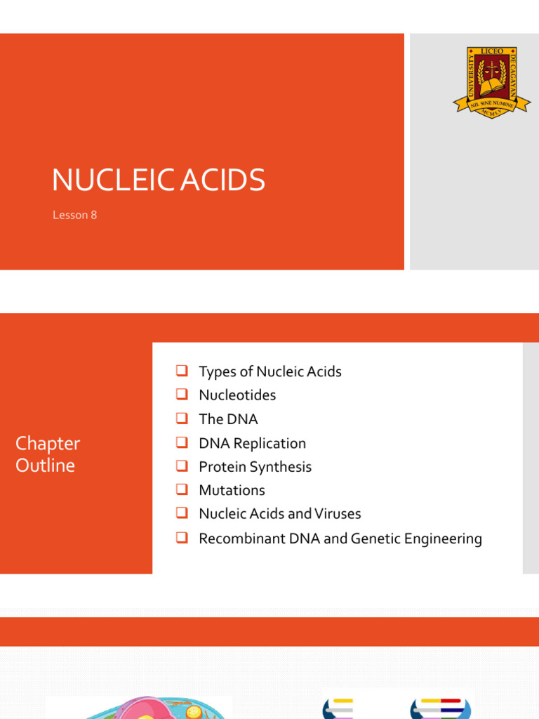Nucleic Acids | PDF | Nucleic Acids | Dna