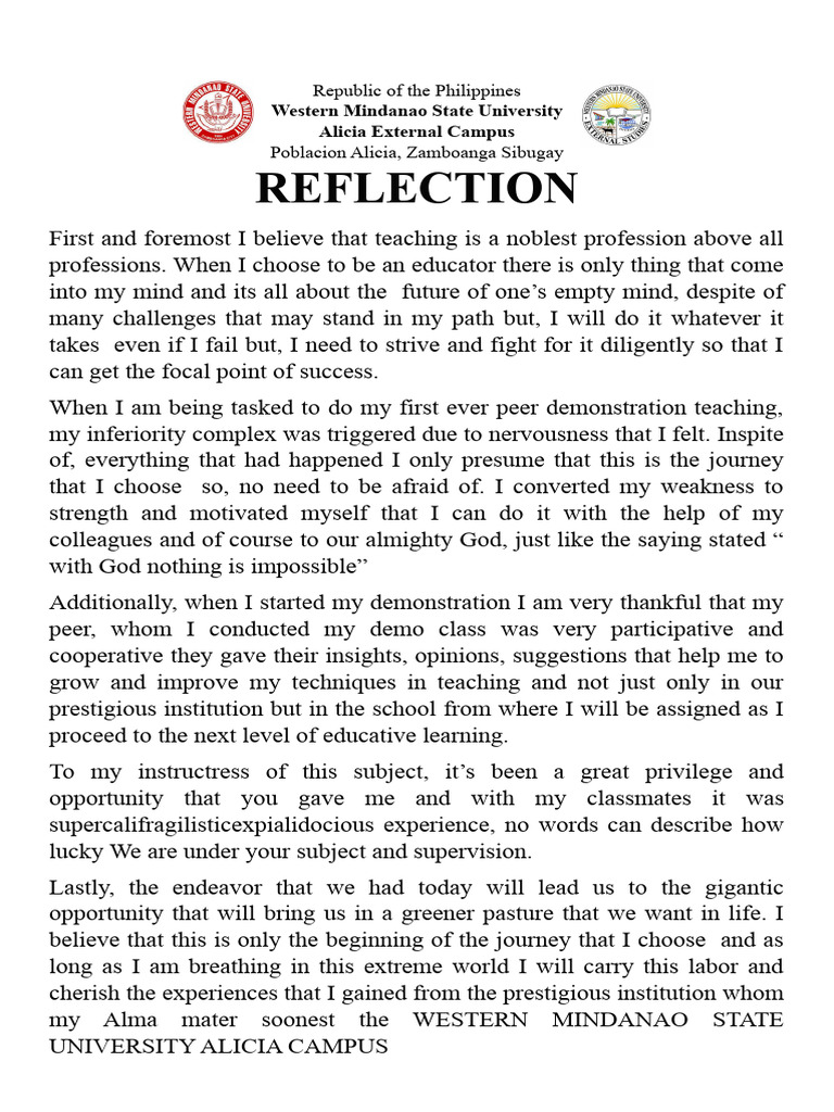 Reflection On Demo | PDF