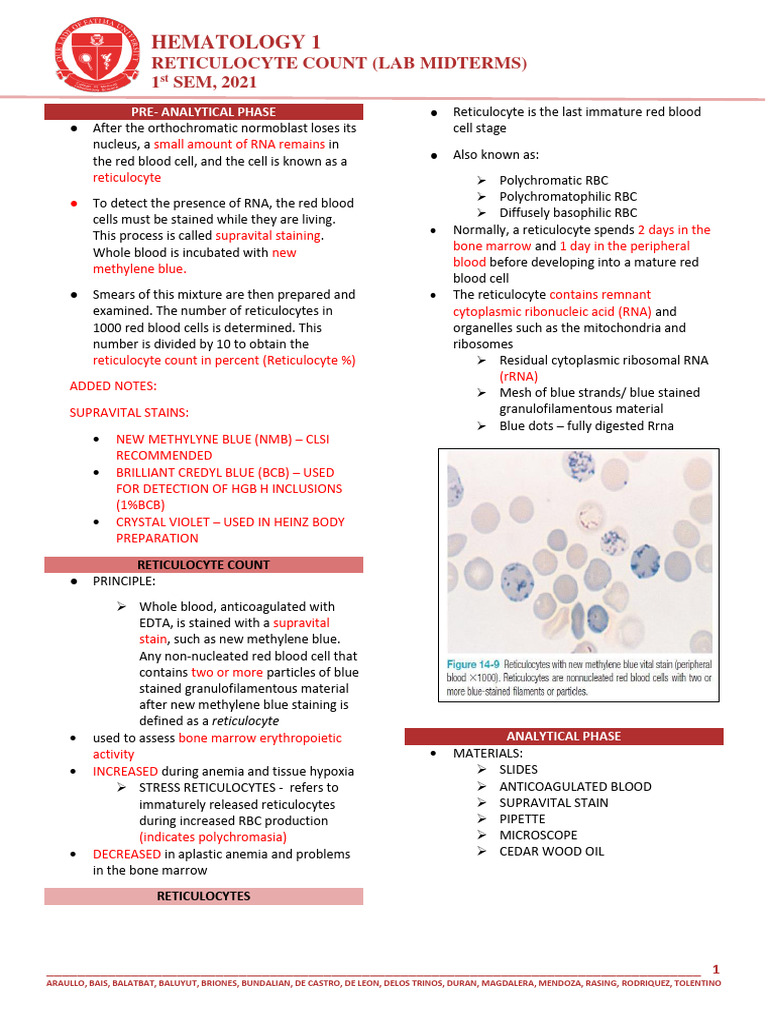 Reticulocyte Count Procedures and Analysis | PDF | Red Blood Cell ...
