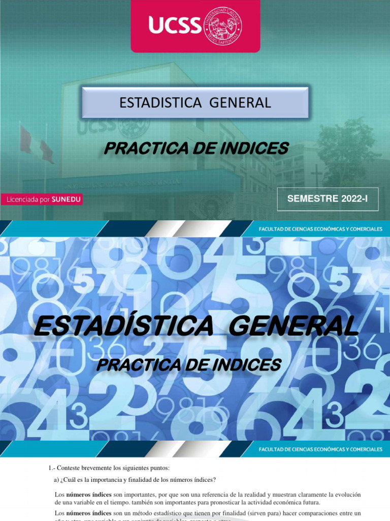 Práctica de Índices Estadísticos | PDF