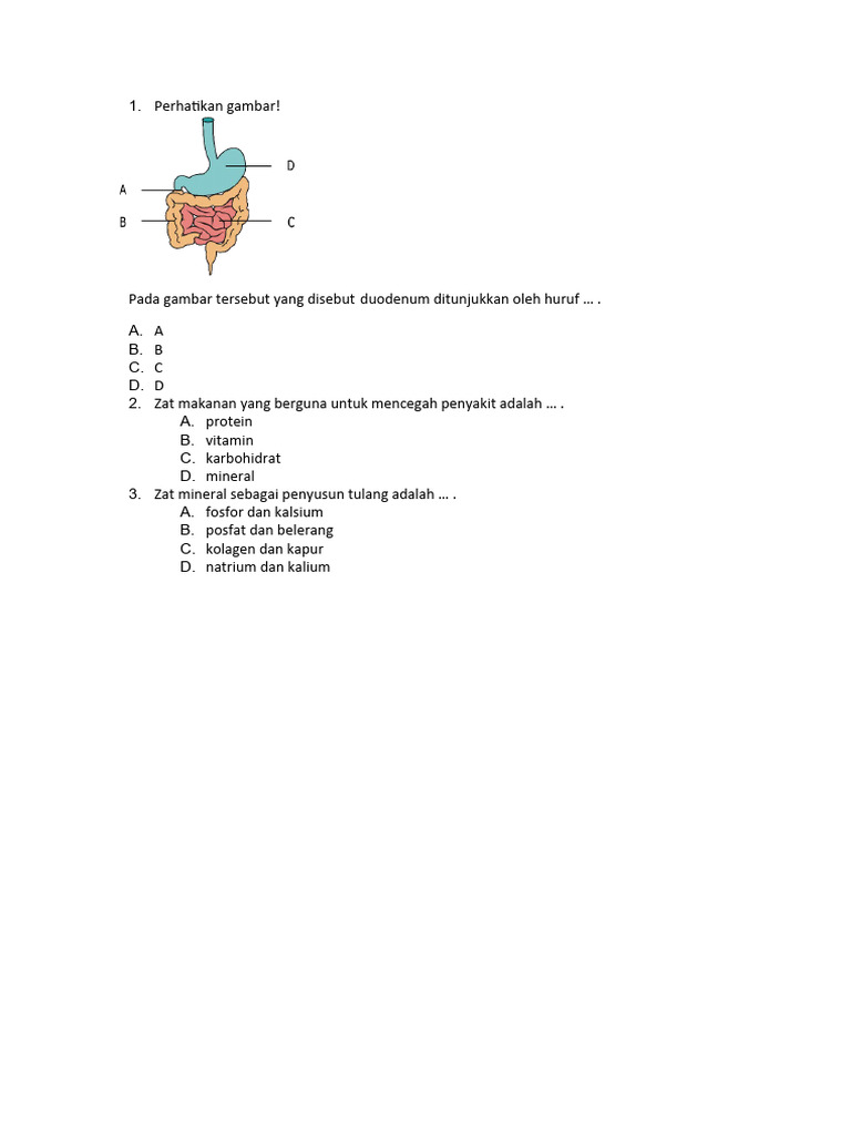 Soal Sistem Pencernaan | PDF