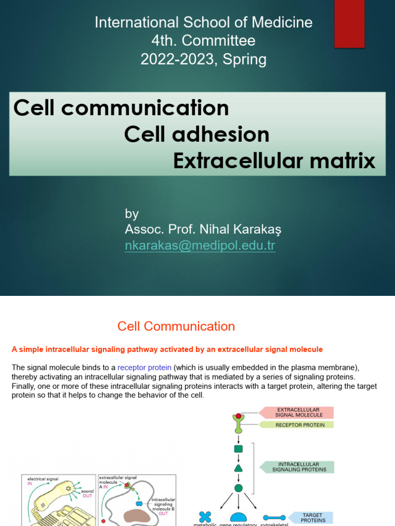NK Lecture1 Cell Com - Adhesion.ecm | PDF | Cell Signaling | Cell Membrane