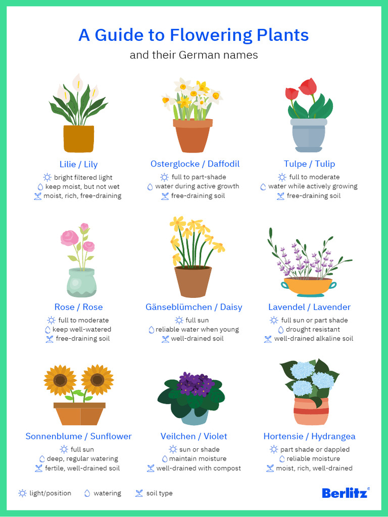 Berlitz Blog Downloadables German Flowers Poster | PDF