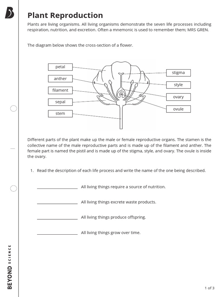 Understanding Plant Reproduction Processes | PDF | Home & Garden | Wellness