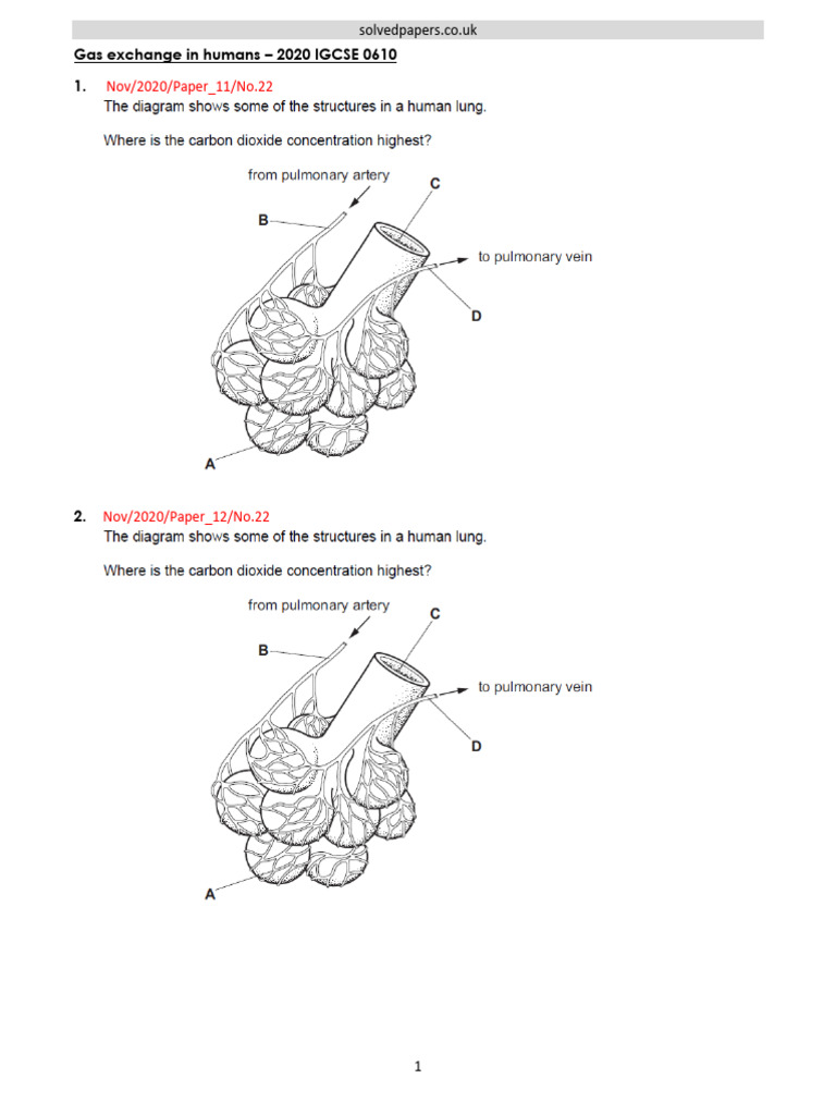 IGCSE 2020 Gas Exchange Papers | PDF | Business | Finance & Money ...