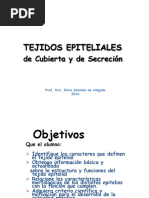 05 Tejidos Epiteliales III Especializaciones Del Dominio Basolateral ...