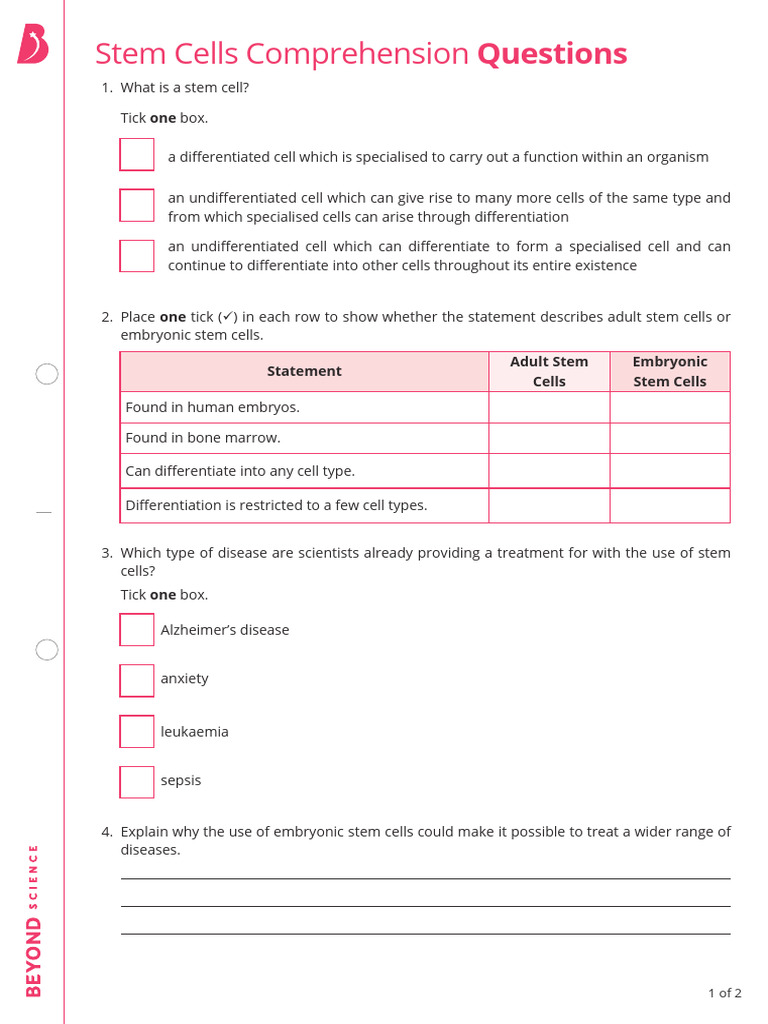 Stem Cells Questions Worksheet LA | PDF
