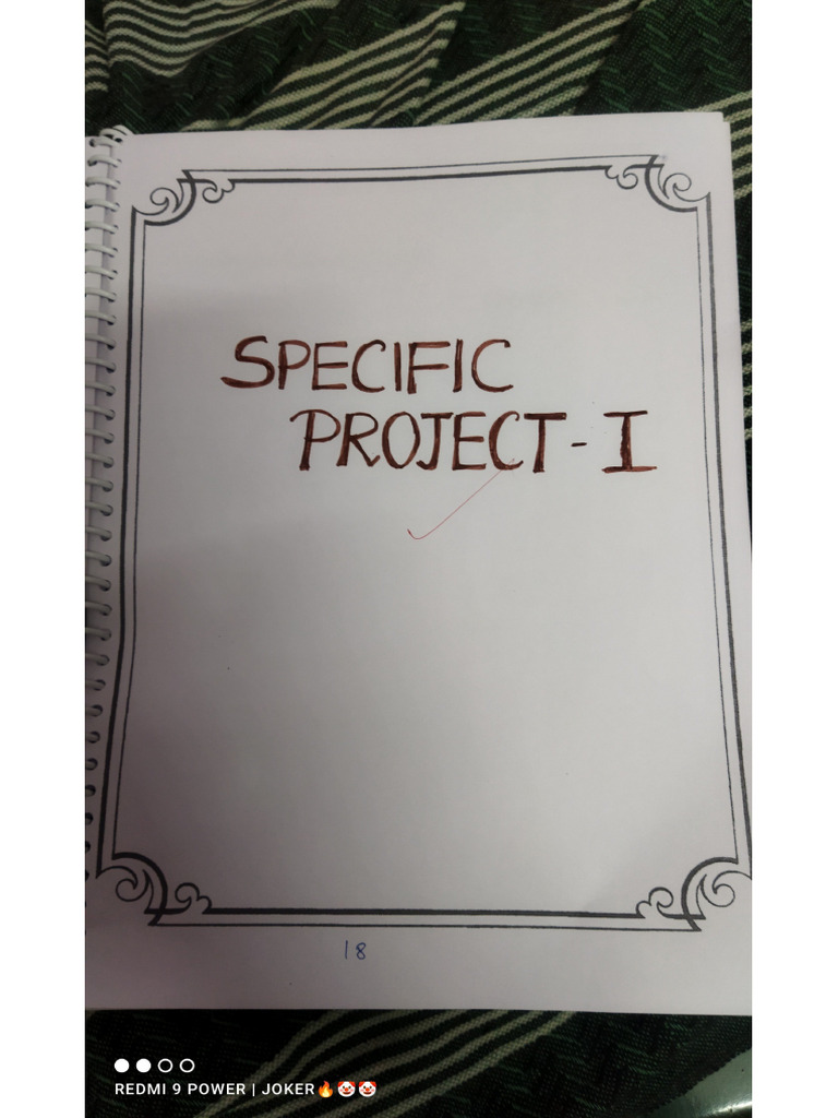 Accountancy-Sample project | PDF