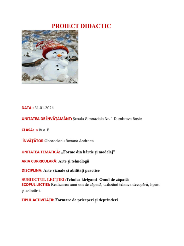 Proiect AVAP-inspectie | PDF