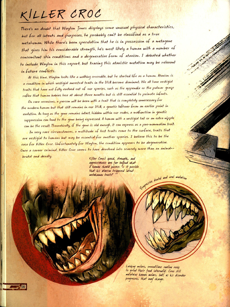 Anatomy of A Metahuman 10 Killer Croc | PDF