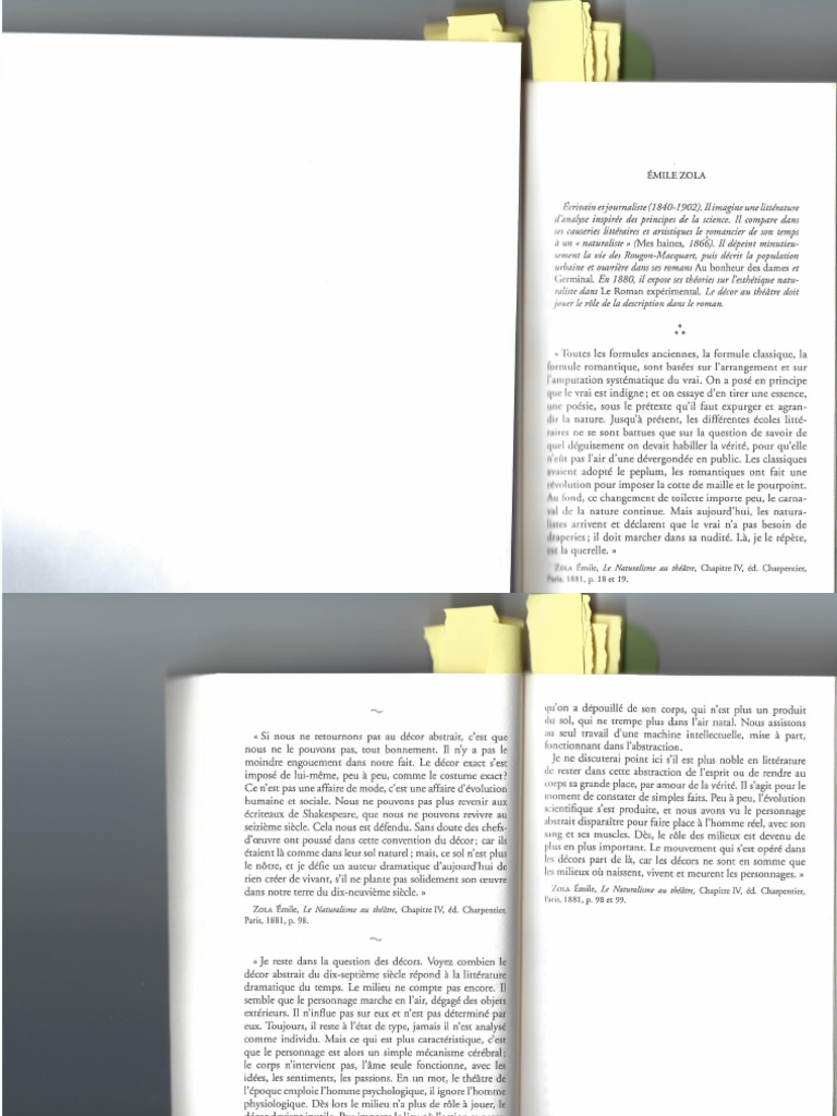 07 Émile Zola | PDF