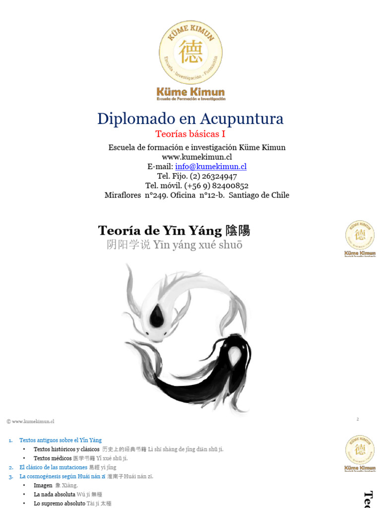 Teoría de Yīn Yáng | PDF