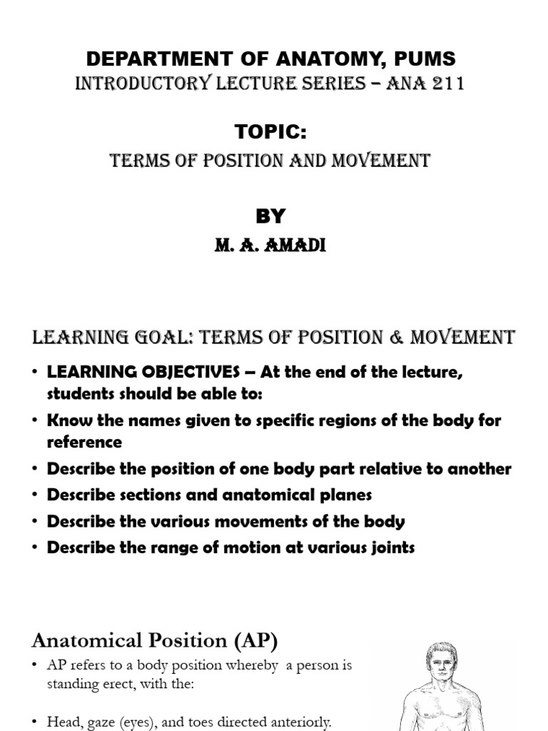 Anatomical Terms of Position and Movement | PDF | Anatomical Terms Of ...