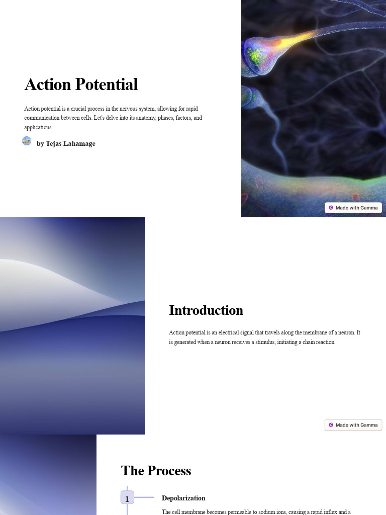 Action Potential | PDF