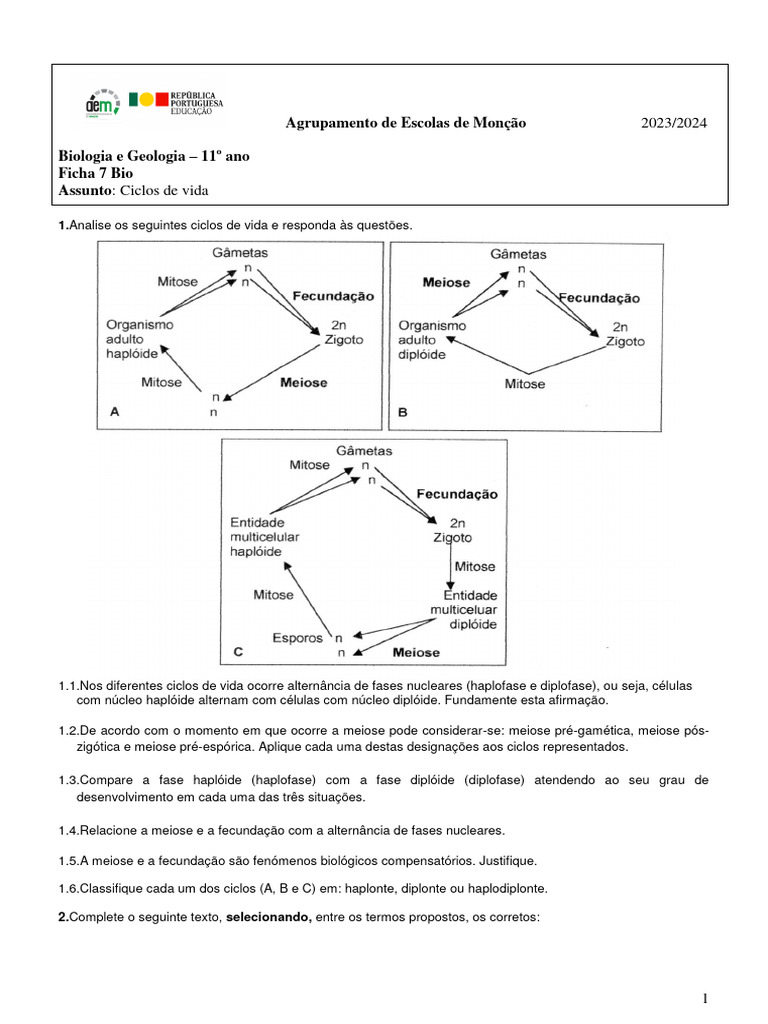 Ficha 7 Bio - Ciclos de Vida | PDF | Meiose | Ploidia