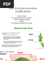 Leaf Nomenclature Cards | PDF