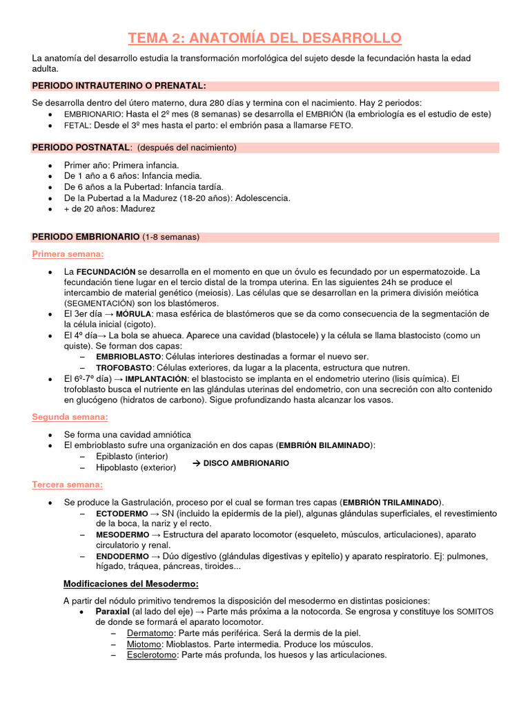 Anatomía Del Desarrollo | PDF | Embrión | Zoología