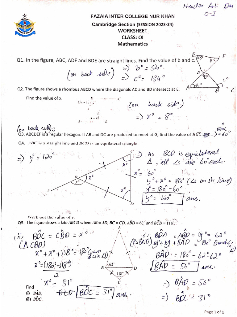 Mathematics Assignment (Haider Ali Dar) | PDF