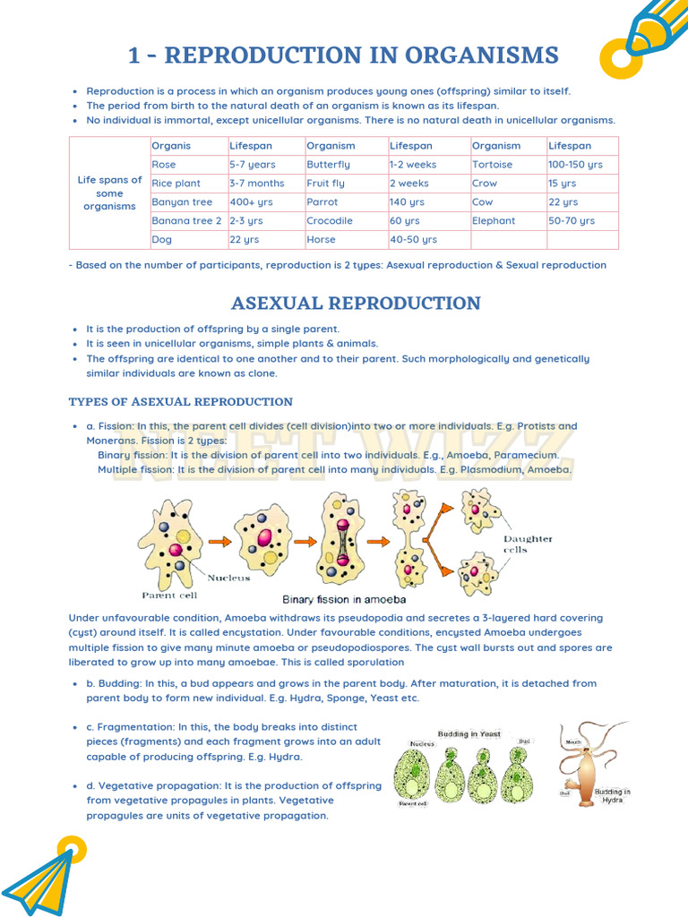 Neet Wizz Bio Class 12 | Download Free PDF | Menstrual Cycle | Seed Neet Wizz Bio Class 12 | Download Free PDF | Menstrual Cycle | Seed