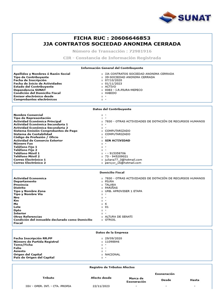Ficha Ruc Jja | PDF | Economias