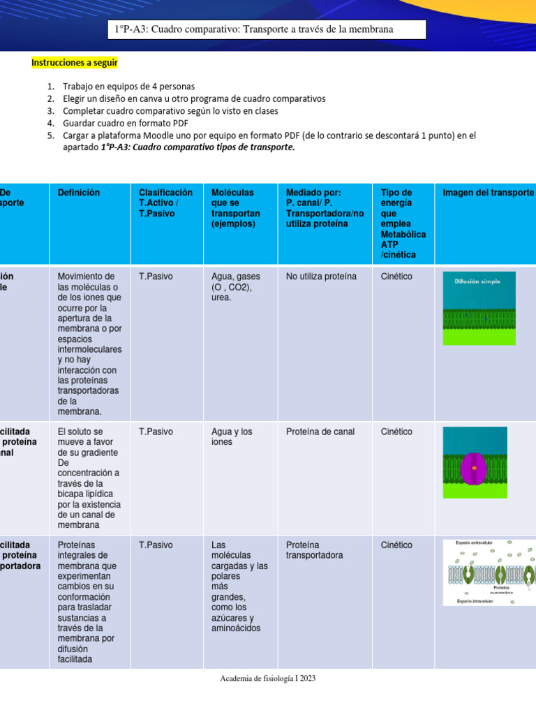 1°P-A3 - Cuadro Comparativo Tipos de Transporte Sesión 11-14 | PDF
