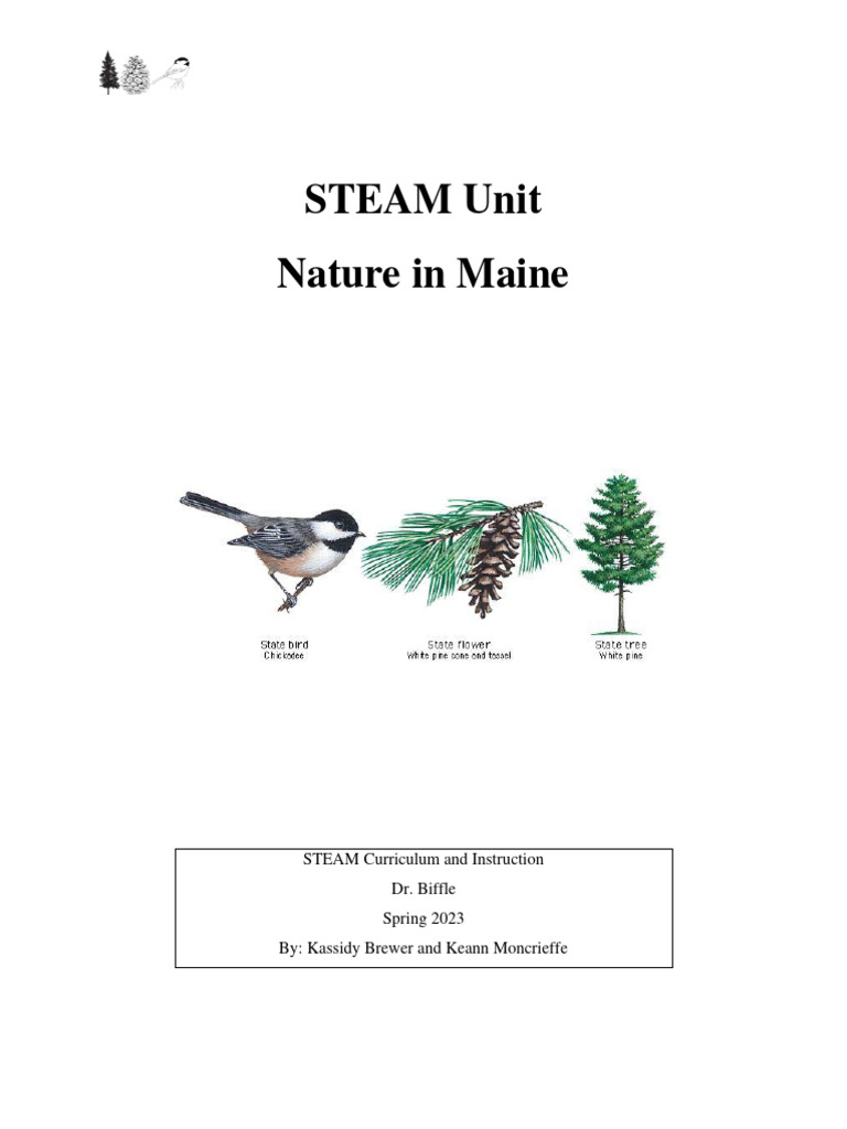 Nature in Maine: A Third Grade STEAM Unit | PDF | Lesson Plan ...
