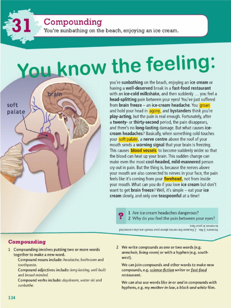 Active-Grammar Split 1 | PDF | Adjective | Noun