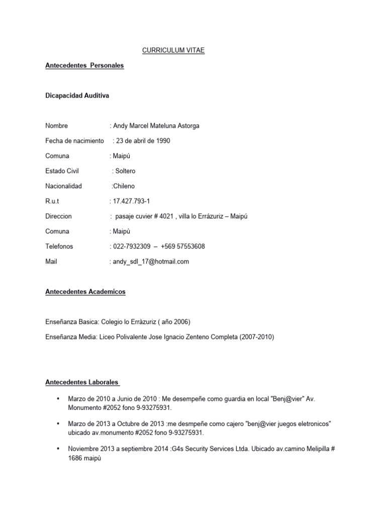 Curriculum Vitae Andy | PDF