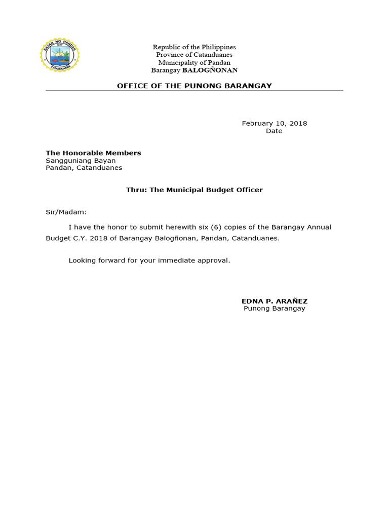 Barangay Balogñonan Annual Budget 2018 | PDF | Income | Fiscal Year