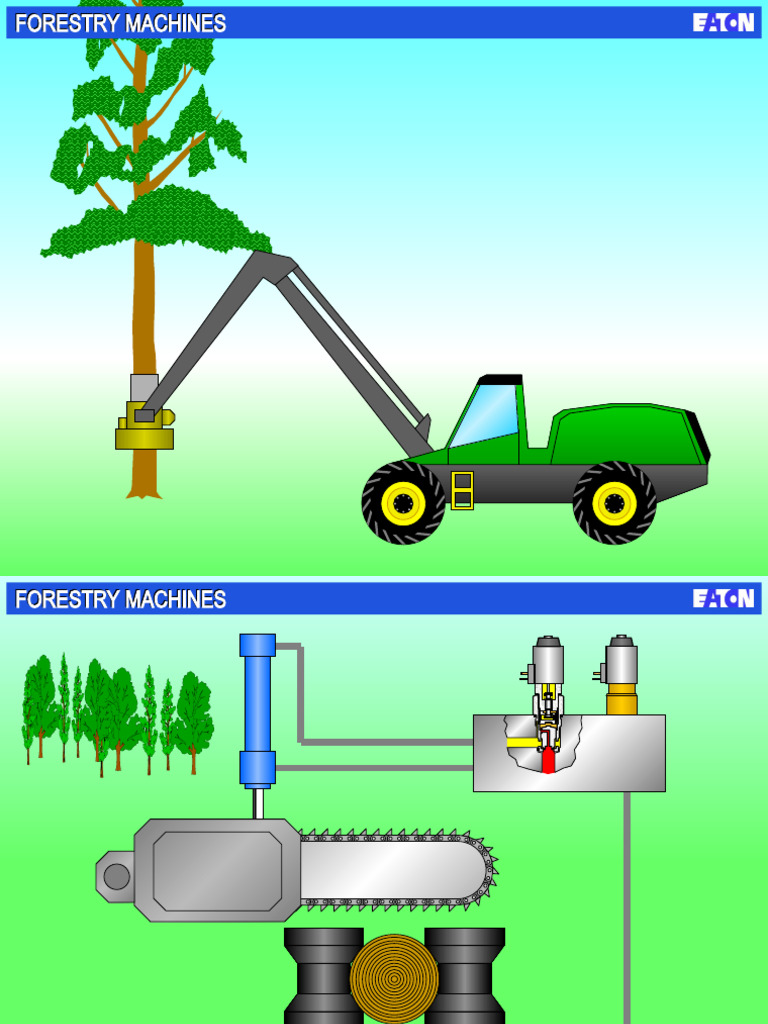 Forestry | PDF