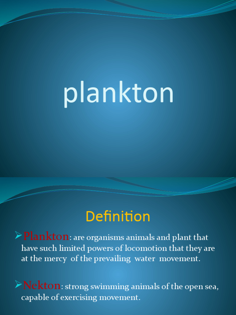 Understanding Plankton Types and Roles | PDF | Plankton | Phytoplankton