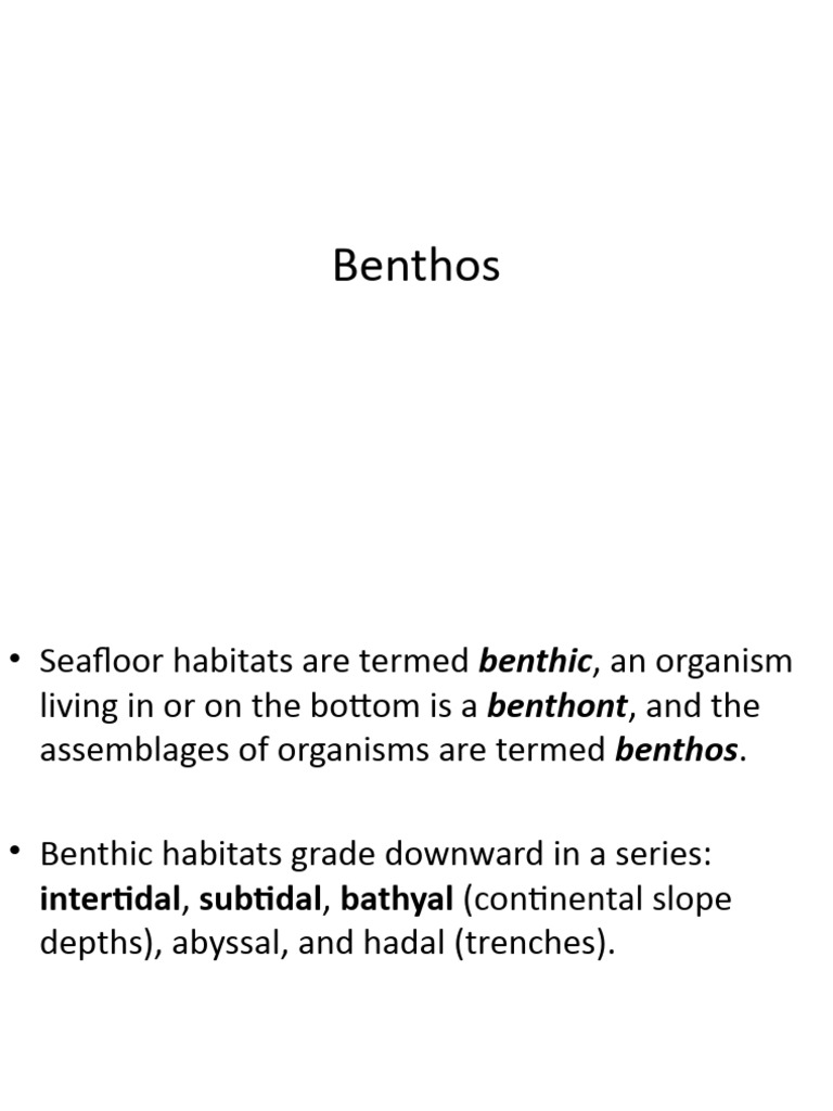 1 Benthos | PDF | Benthic Zone | Littoral Zone