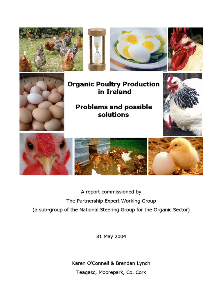 Organic Poultry Report | PDF | Poultry Farming | Organic Farming
