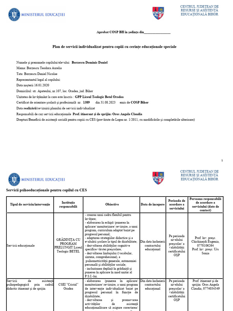 Plan de Servicii Individualizat DoMINIC | PDF