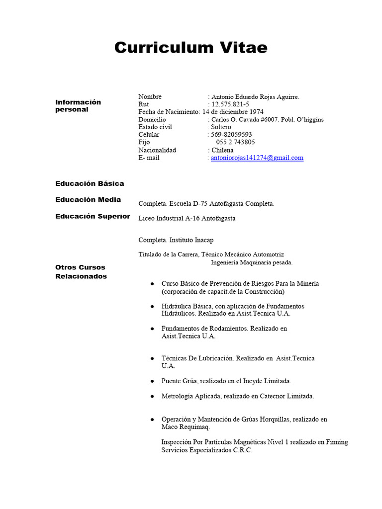 Curriculum Antonio Rojas A. 2023 | PDF