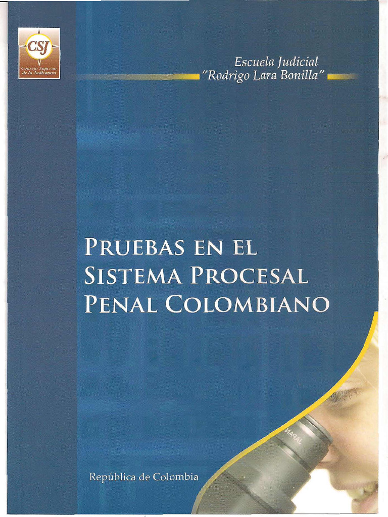 Pruebas en El Sistema Procesal - Unlocked | PDF