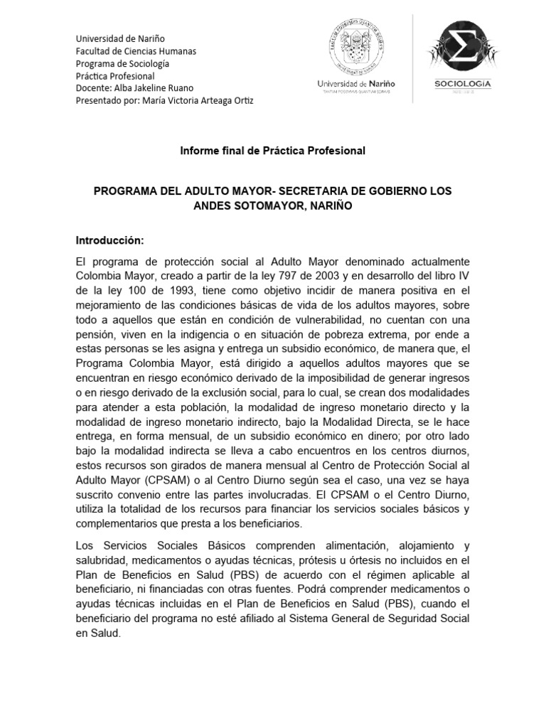 Formato Informe Final Practica Profesional | PDF