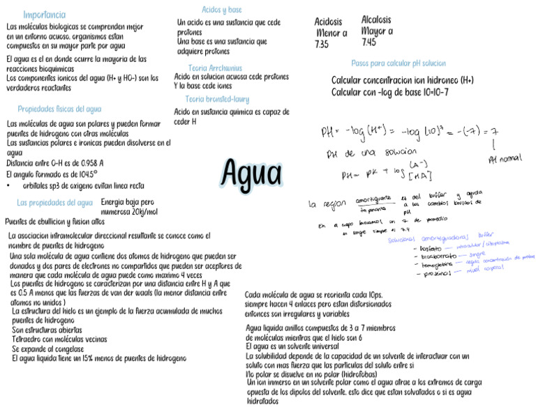 Bioquimica Resúmenes | PDF | Propiedades del agua | Polaridad química