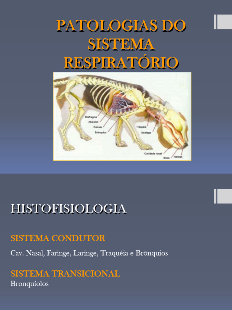 Patologias Do Patologias Do Patologias Do Sistema Sistema Sistema ...